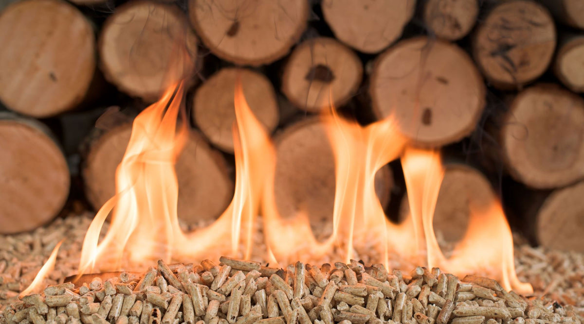 The Benefits of Switching to a Biomass Boiler: A Comprehensive Guide ...